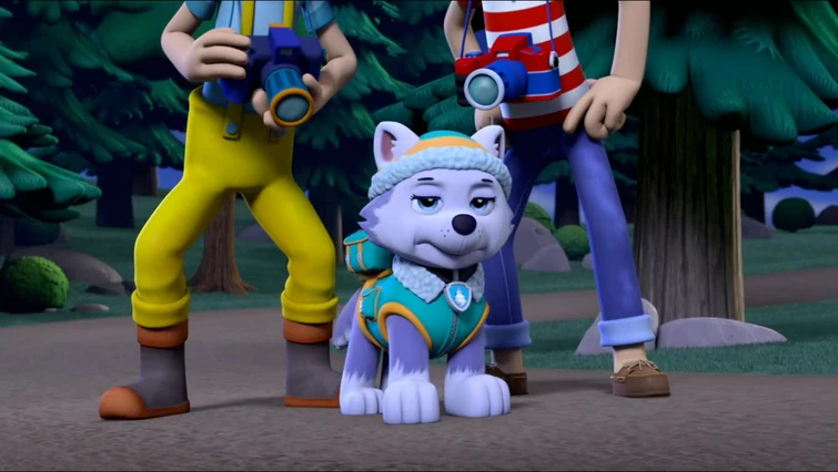 Everest breaking the 4th wall | Fandom