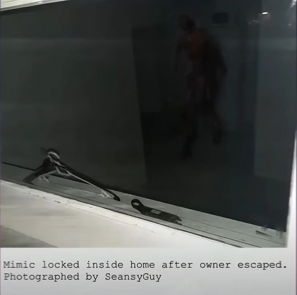 The Mimic Part 1 Fandom