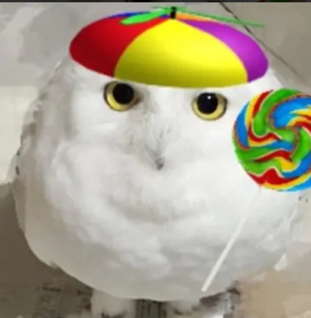 Can we stop yapping on lss? | Fandom