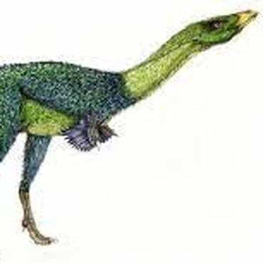 Discuss Everything About Dinopedia | Fandom