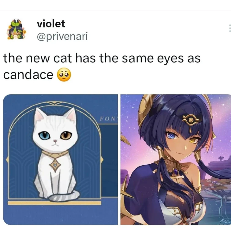 Random bs go | Fandom