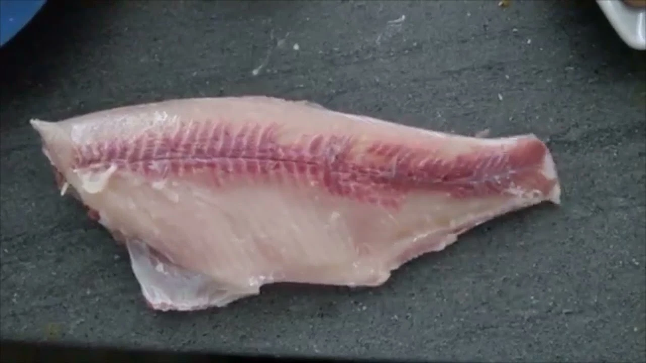 Watch this shit | Fandom