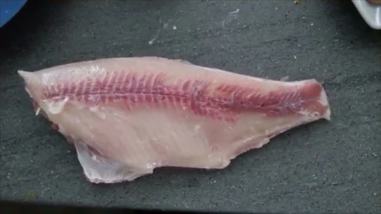 Watch this shit | Fandom