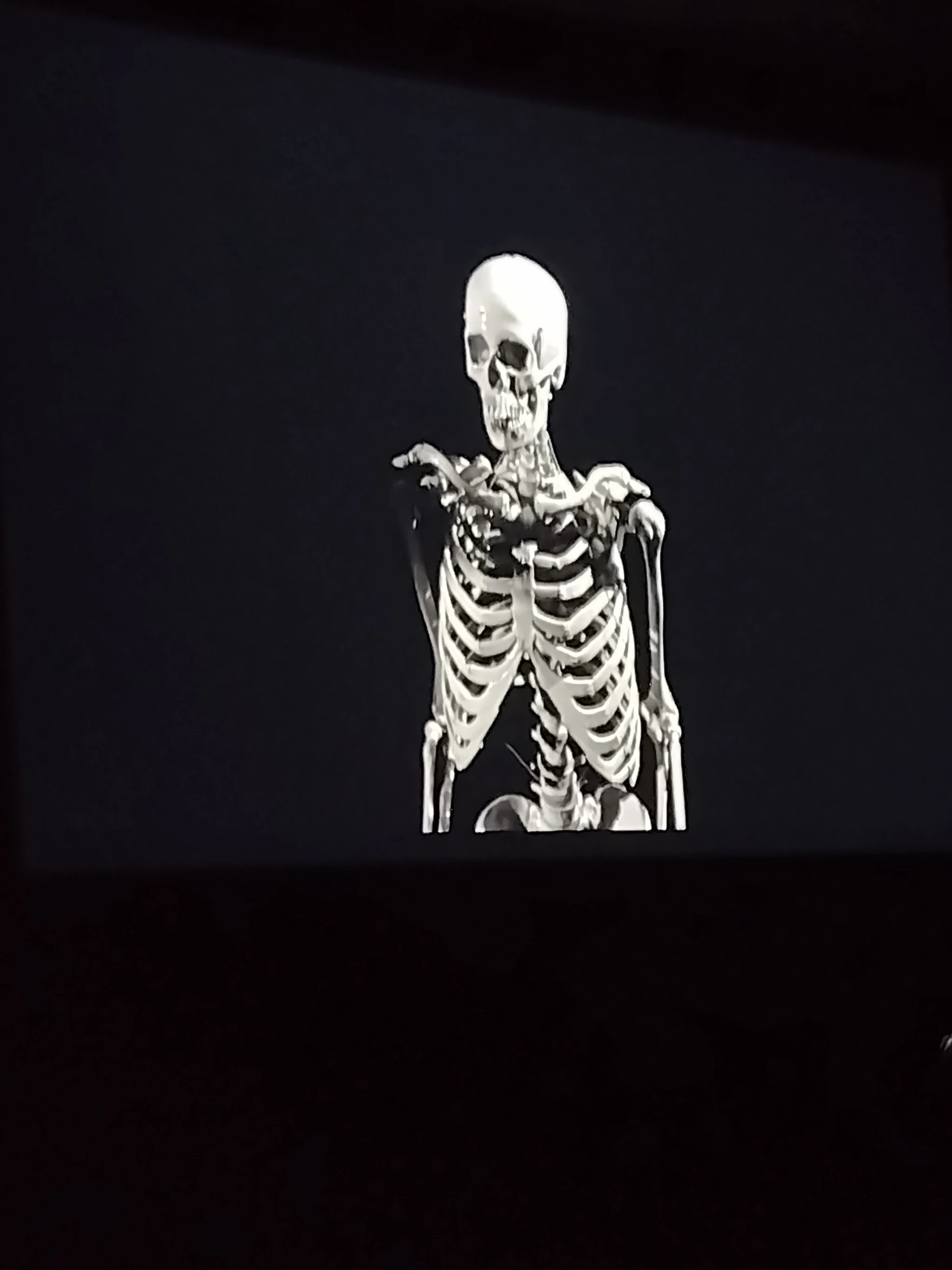 went to see a horror movie. there was a whole ass skeleton | Fandom