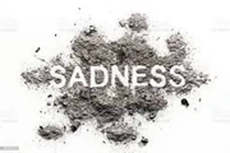 Fandom