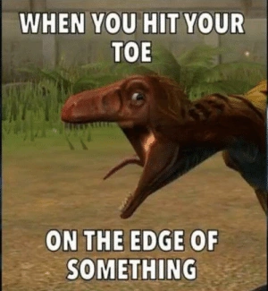 i have teh memes | Fandom