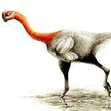 Discuss Everything About Dinopedia | Fandom