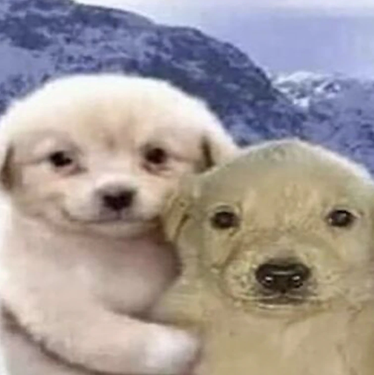 I’m cooking something fr | Fandom