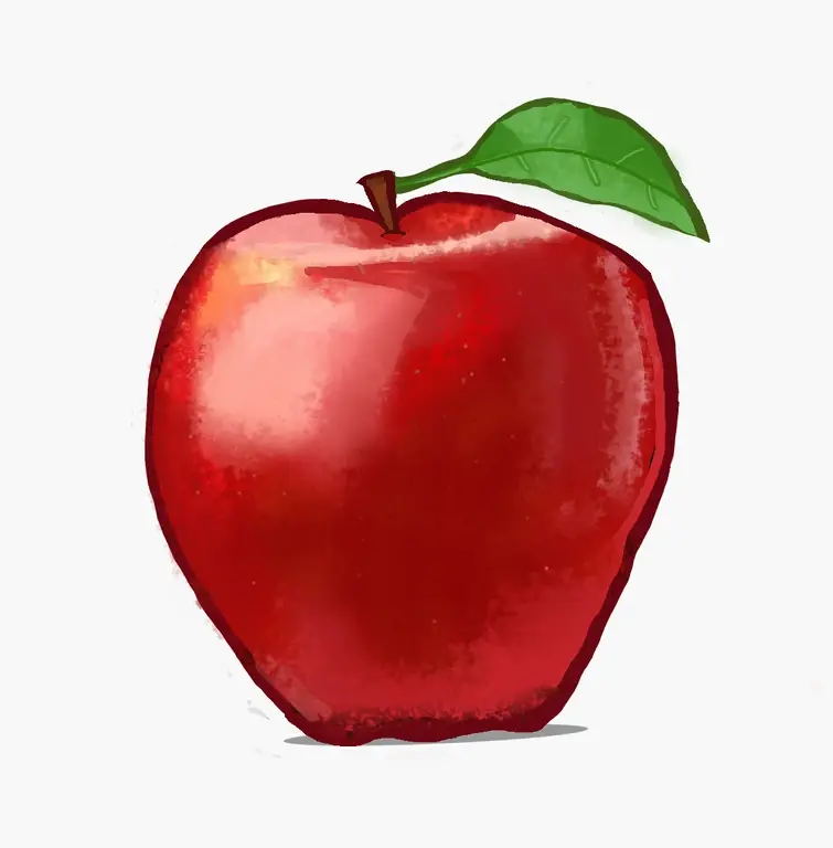 a normal picture of an apple | Fandom
