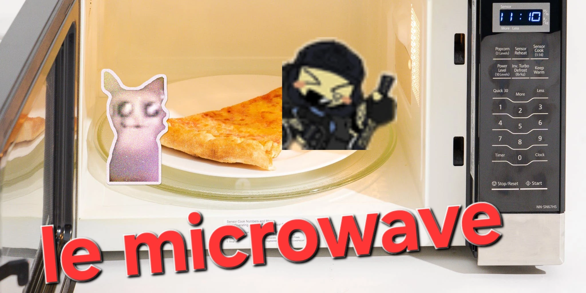 The final wikian microwave | Fandom