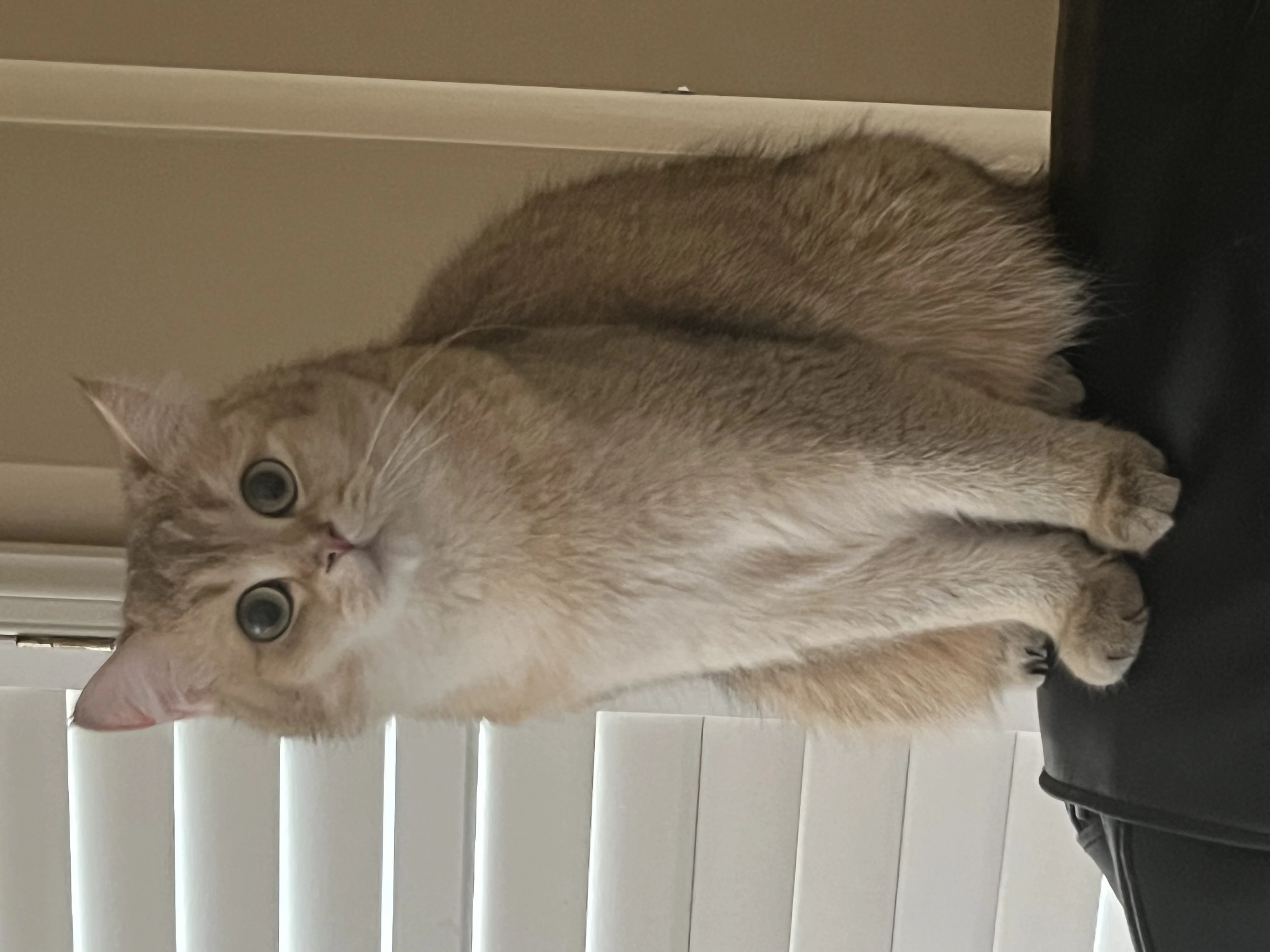 Challenge #2 | Fandom