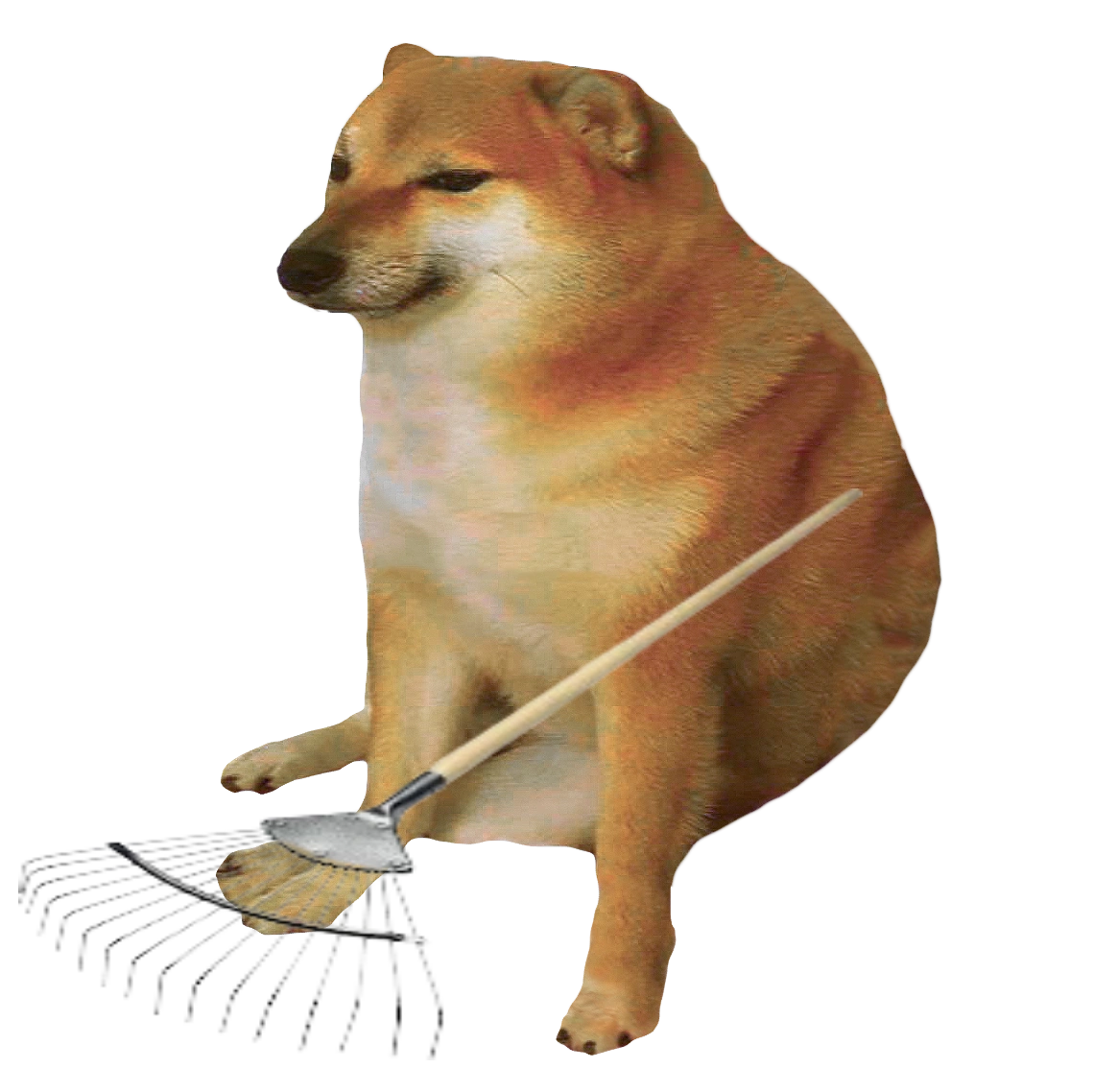 Ok so you guys give up or no? | Fandom