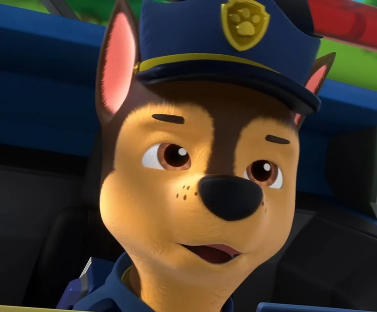 Paw Patrol: To the rescue | Fandom