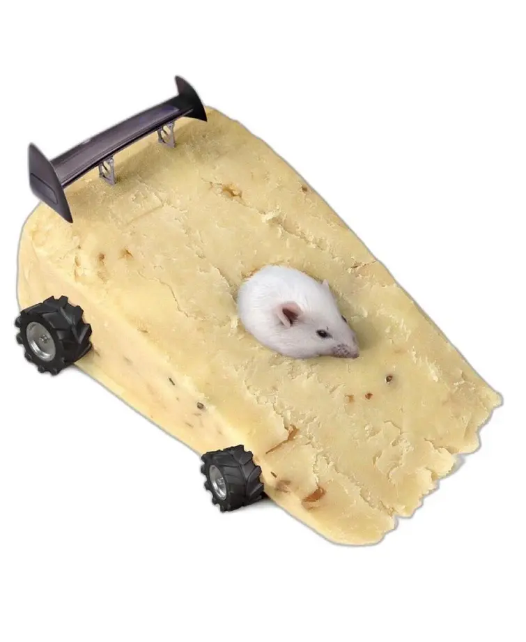 I have begun to challenge myself. | Fandom