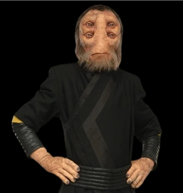 Discuss Everything About Wookieepedia | Fandom