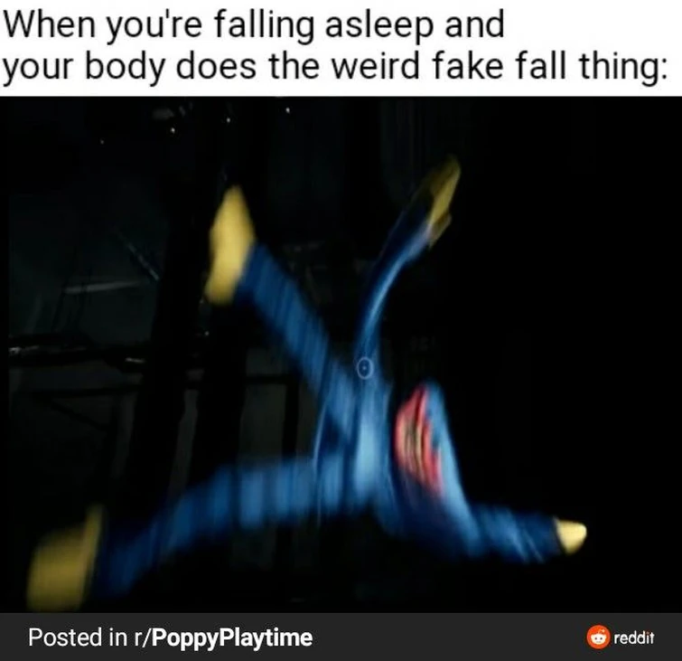 Memes. All of them. | Fandom