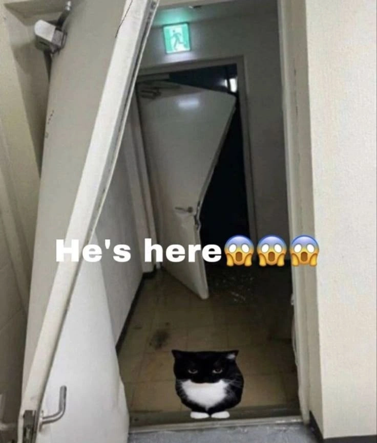 DITF updated!! | Fandom