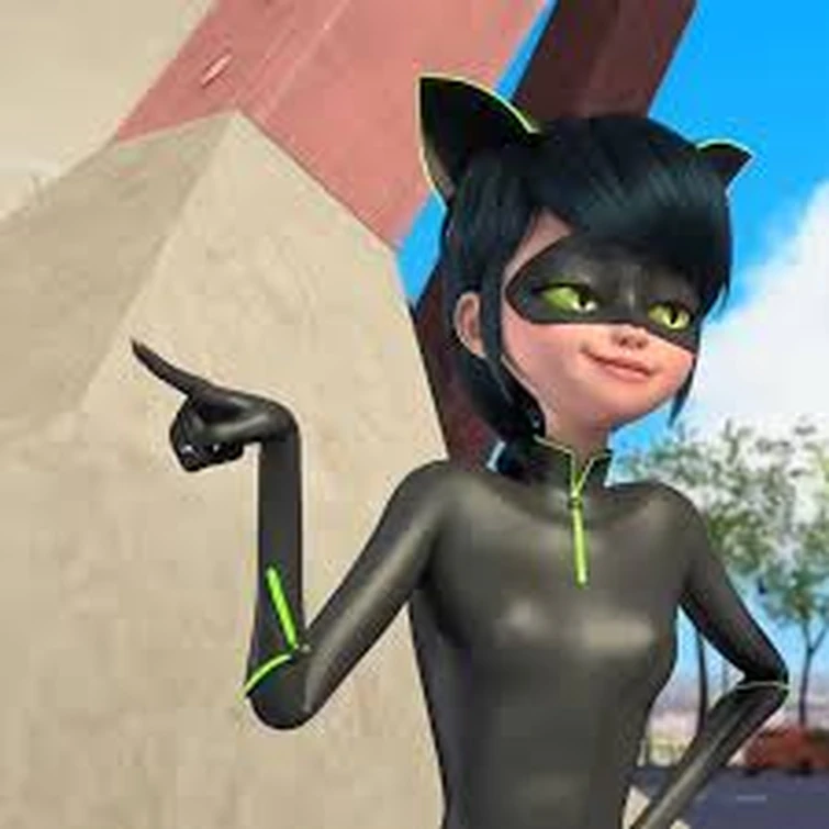 Marinettes hair color | Fandom