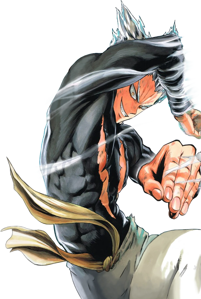 Who’s the best opponent for Garou (One Punch Man)? | Fandom