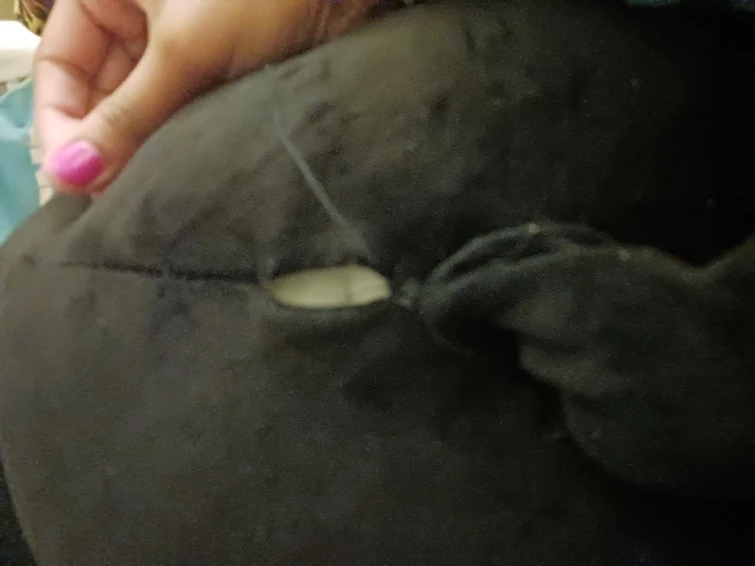 I FIXED BOO BOO KITTEN!!! | Fandom