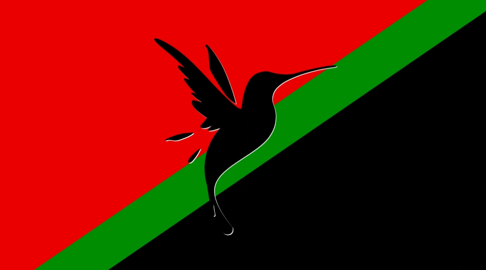 Oh look a new flag | Fandom