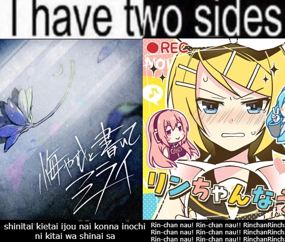 I have two sides | Fandom