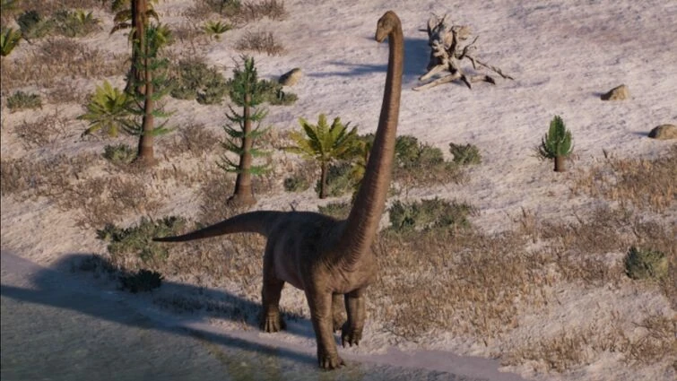 Dinopedia names Animals in WWD Park Part 8 or something | Fandom