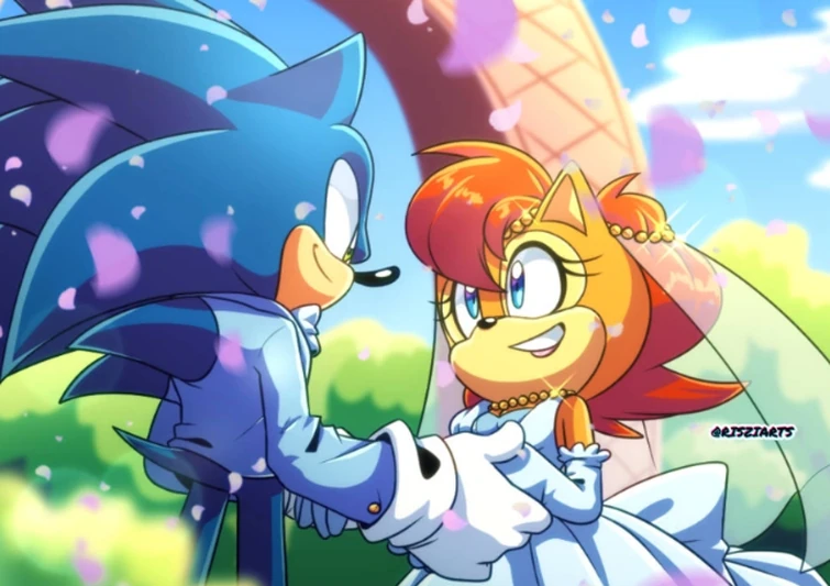 Sonic And Sally Wedding