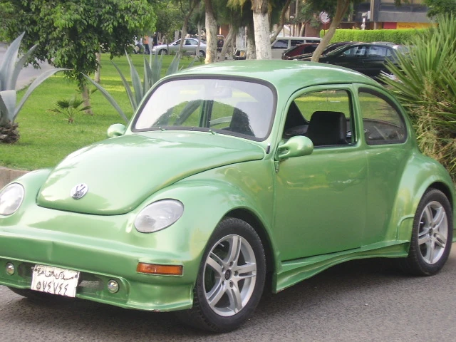 Goofy ahh beetle | Fandom