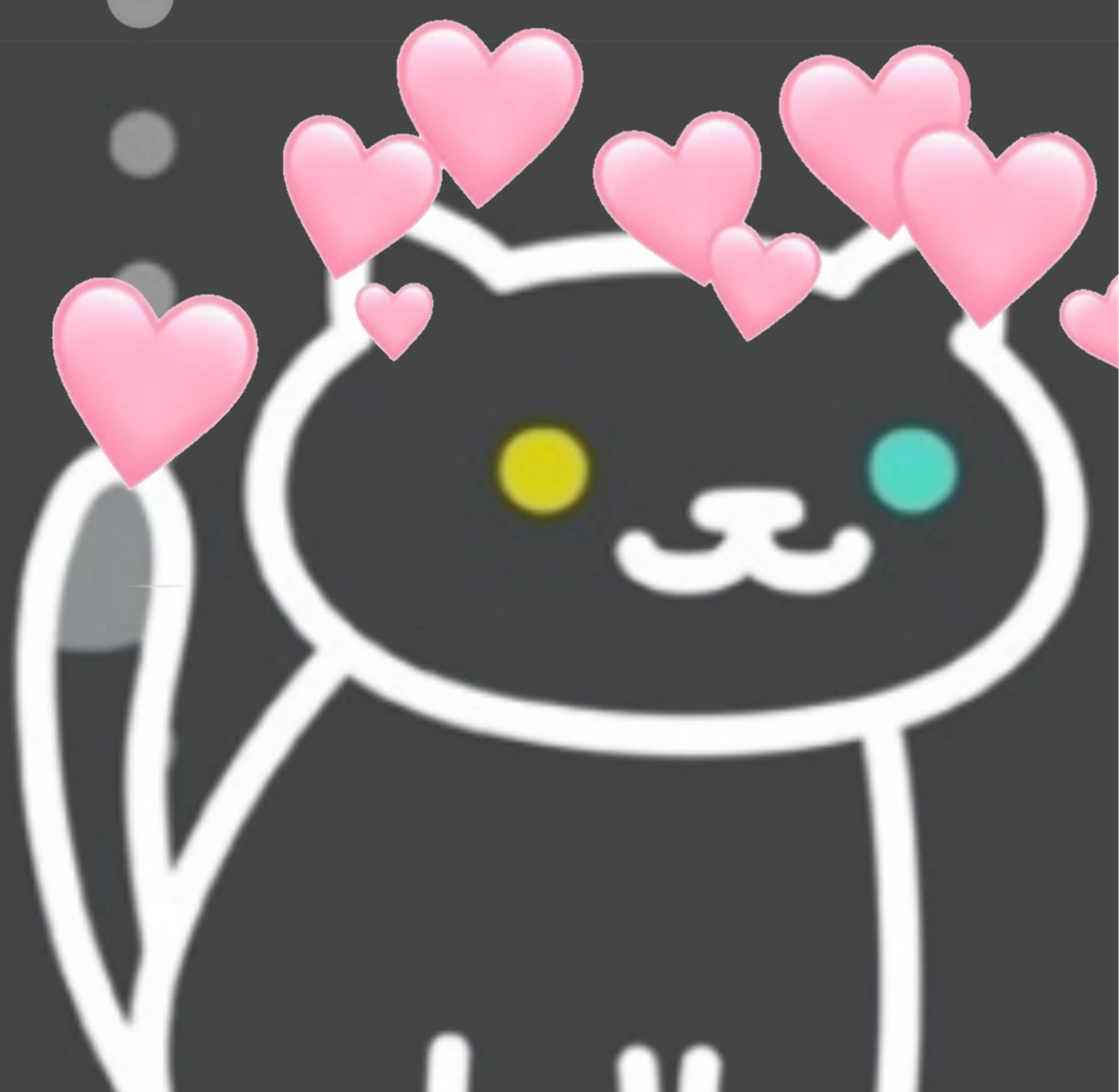 haha cat pfp | Fandom