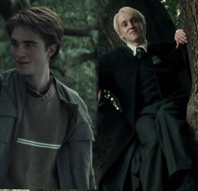 Harry Potter and the Year Everyone Climbs on the Tree: | Fandom
