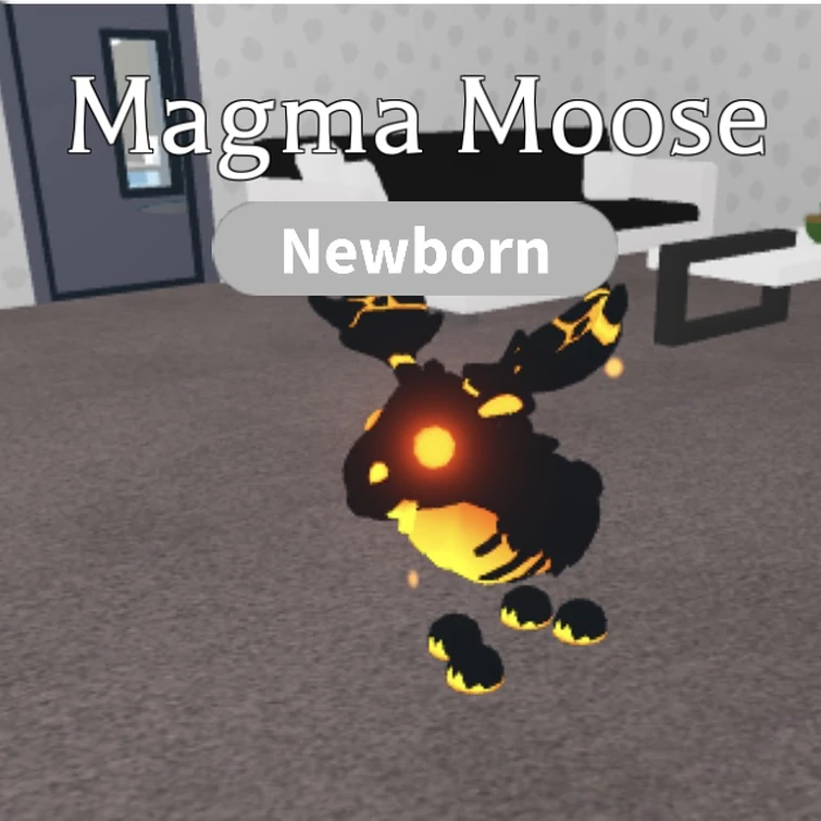 Discuss Everything About Adopt Me! Wiki | Fandom