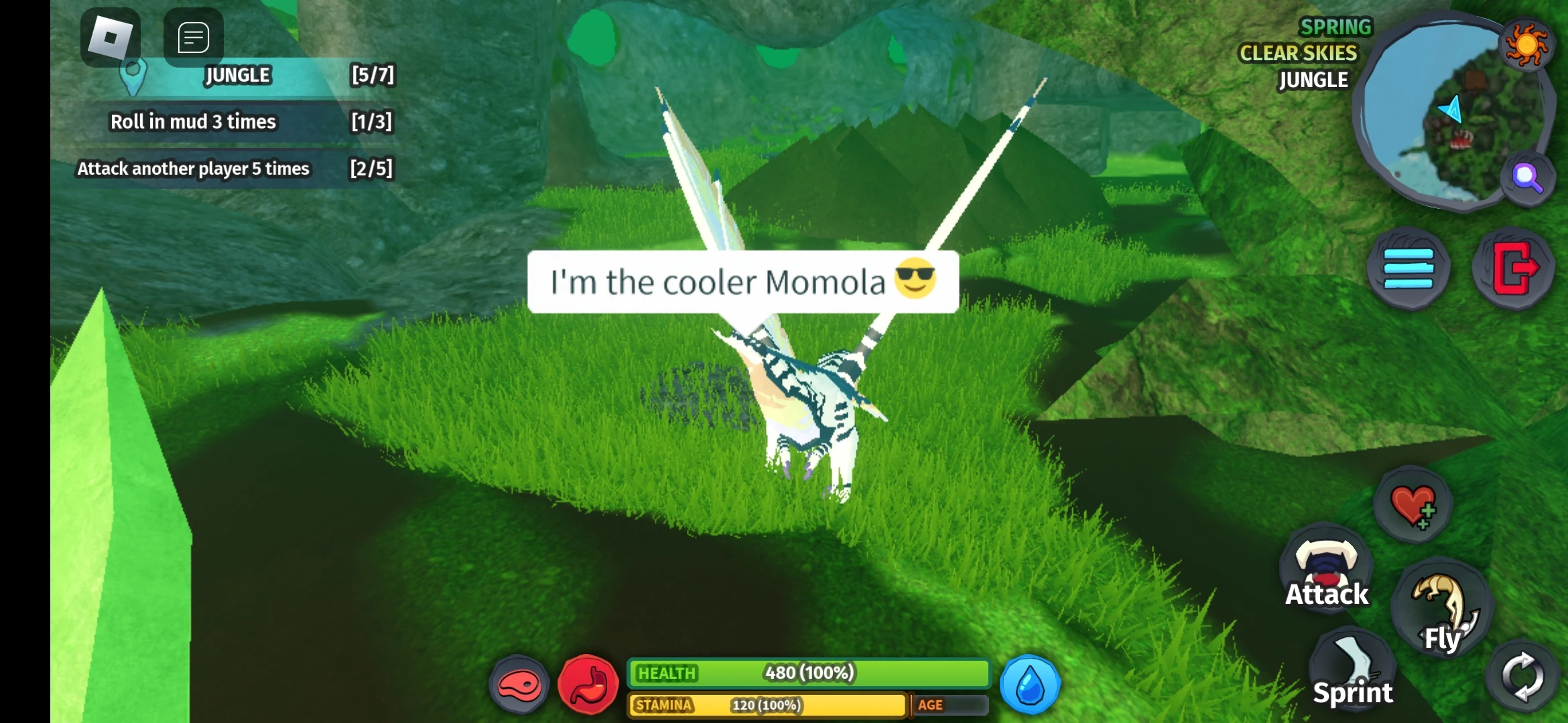 The cooler momola 😎 | Fandom