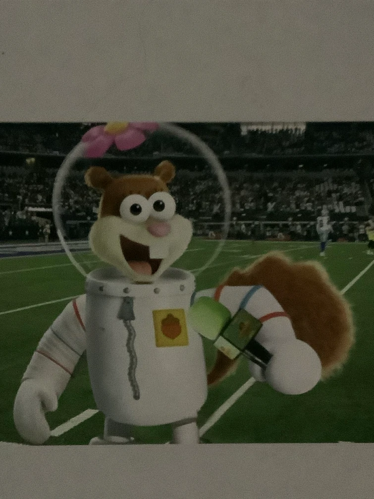 Sandy cheeks in the football field | Fandom