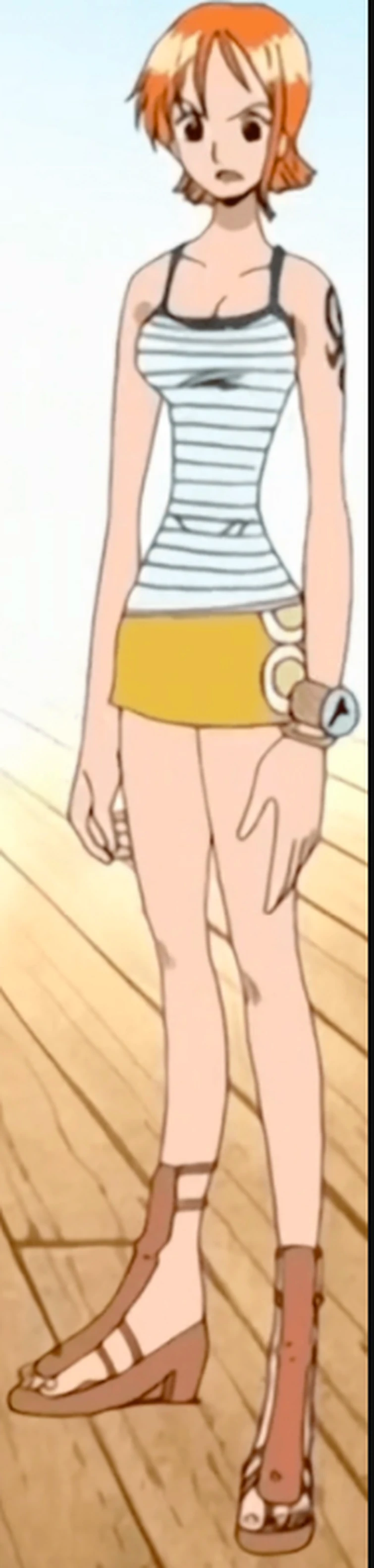 (Cat Burgler) The PTS Nami Experience | Fandom