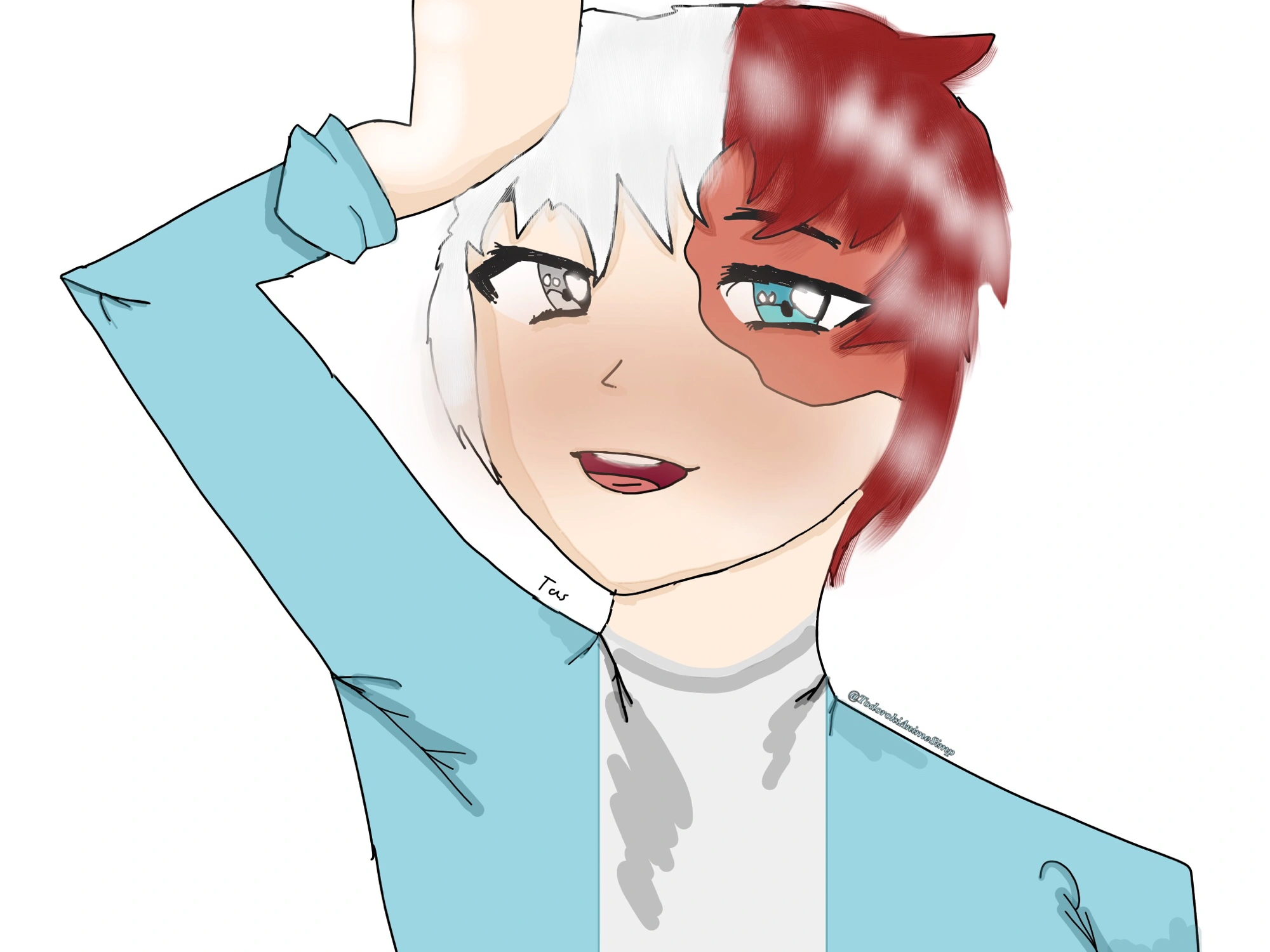 Sorry I have been gone for a while but here is Todoroki | Fandom