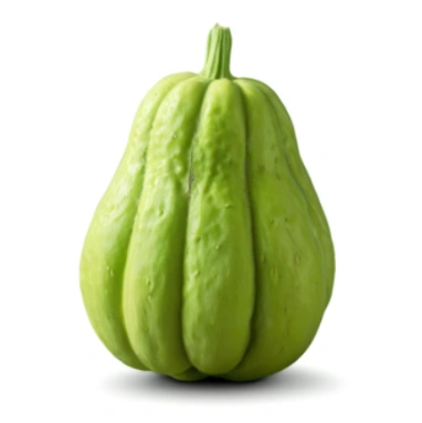 Squash | Fandom