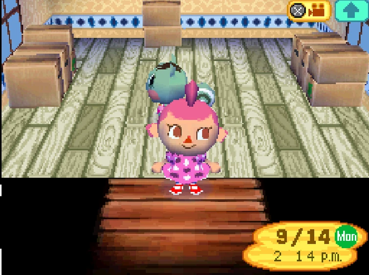 Discuss Everything About Animal Crossing Wiki | Fandom