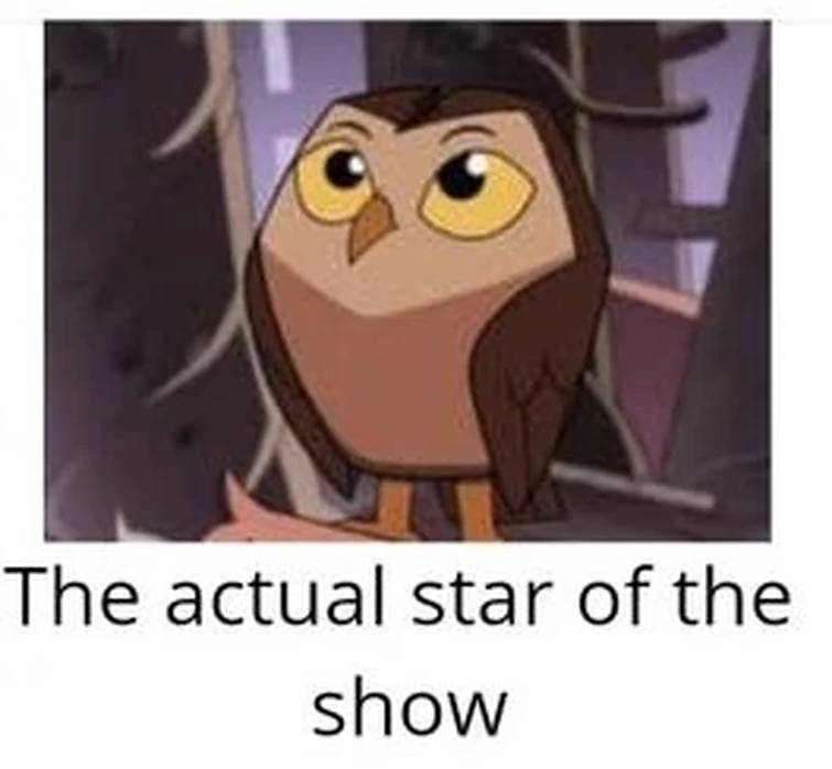 Where are the Owls | Fandom