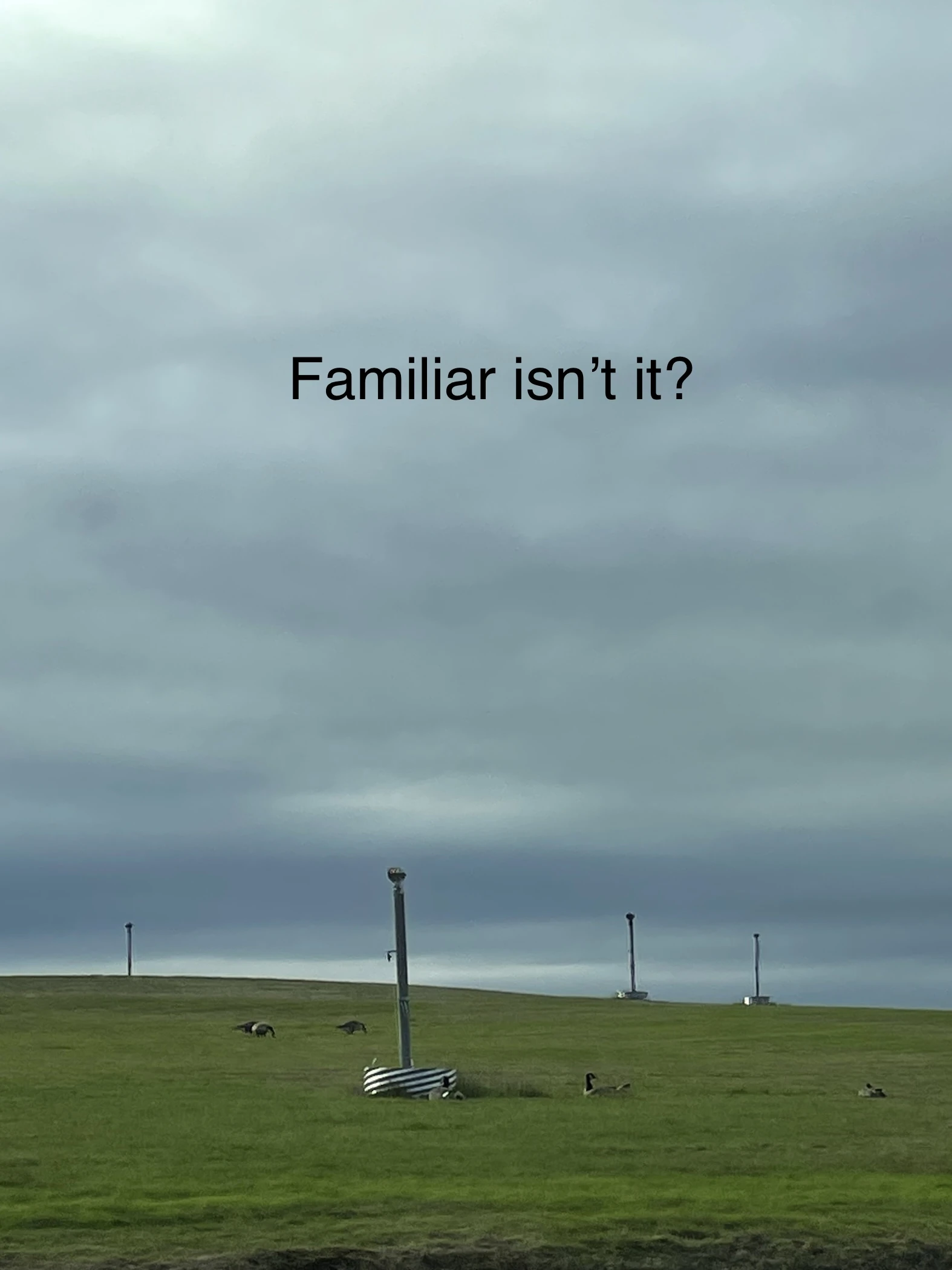 Is this photo weirdcore? | Fandom