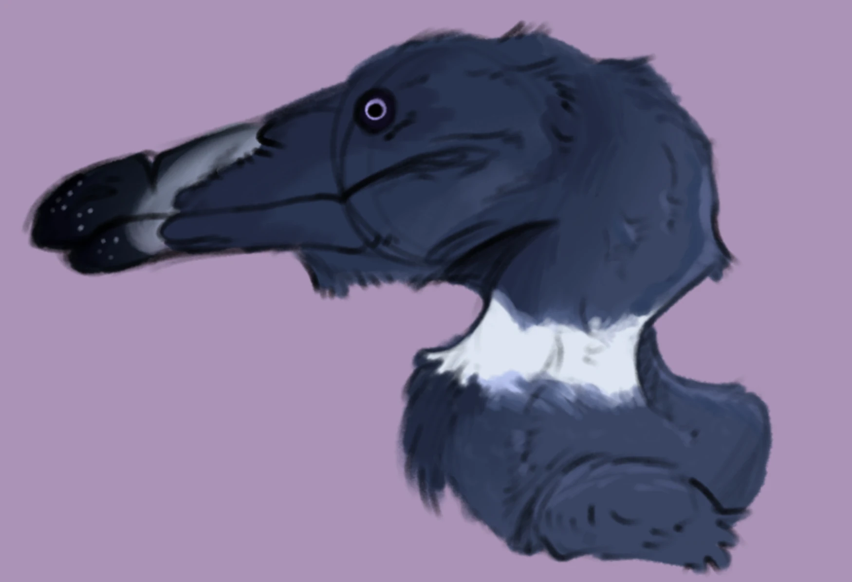 lynx soot’s dinosaur doodles | Fandom