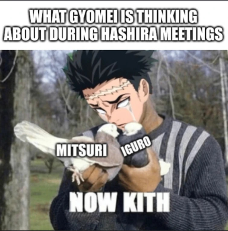 KNY MEMES PT.8 (HASHIRA EDITION) | Fandom