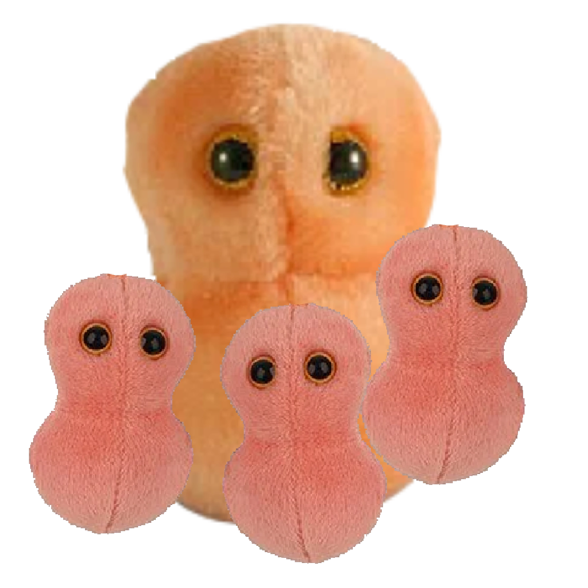 Pink goober family | Fandom