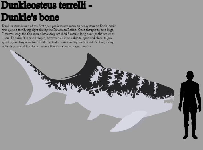 Dunkleosteus art | Fandom