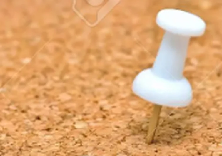 PINS! I SEE PINS EVERYWHERE! | Fandom