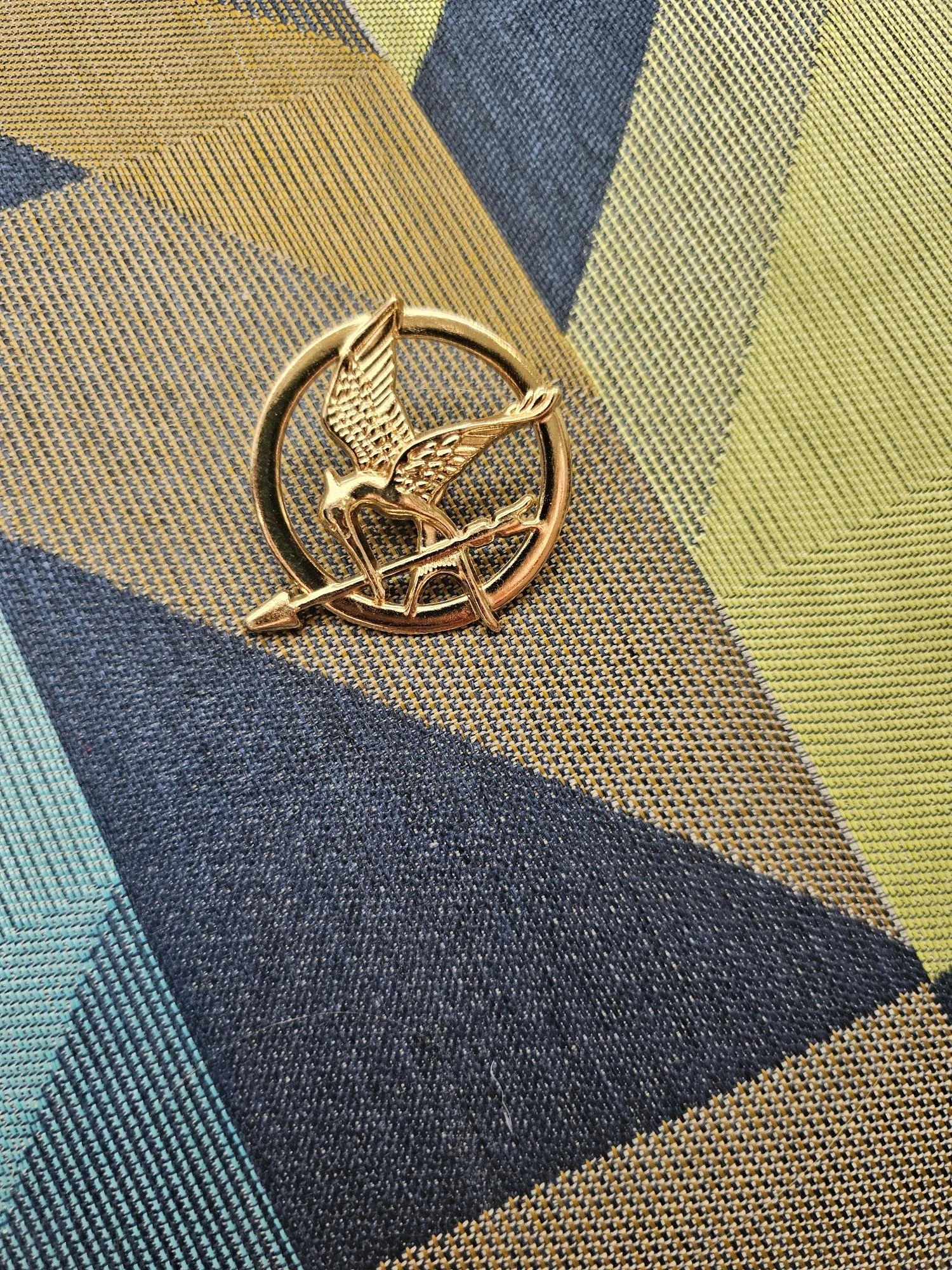 I got the pin! | Fandom