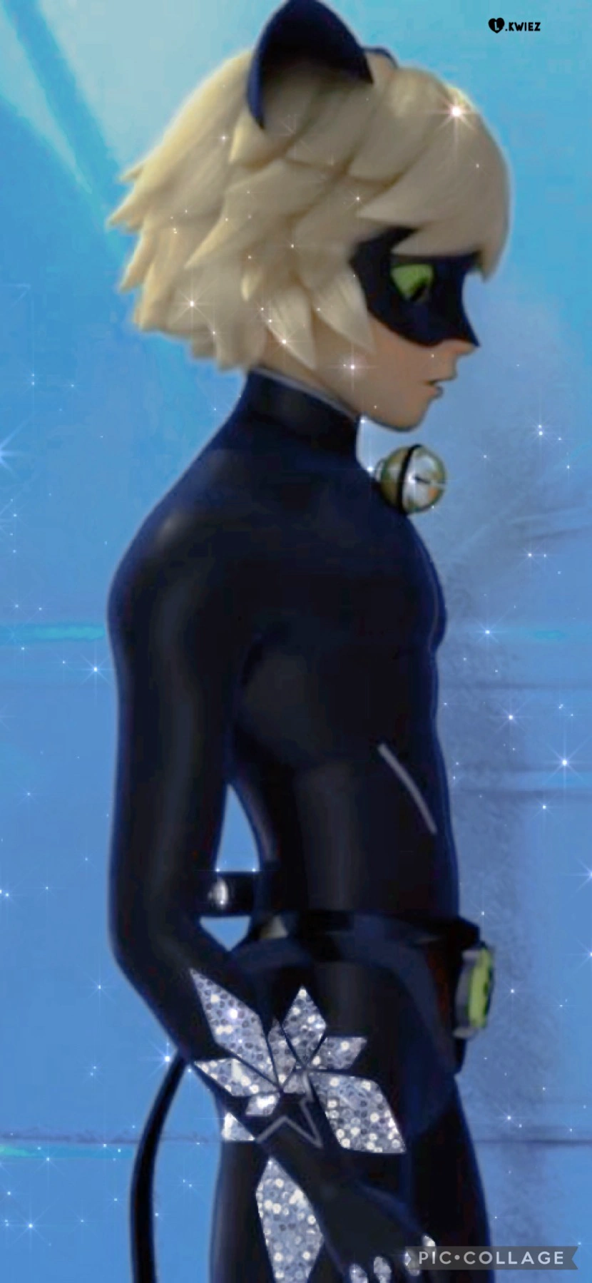 Ice Cat ️🐱 | Fandom