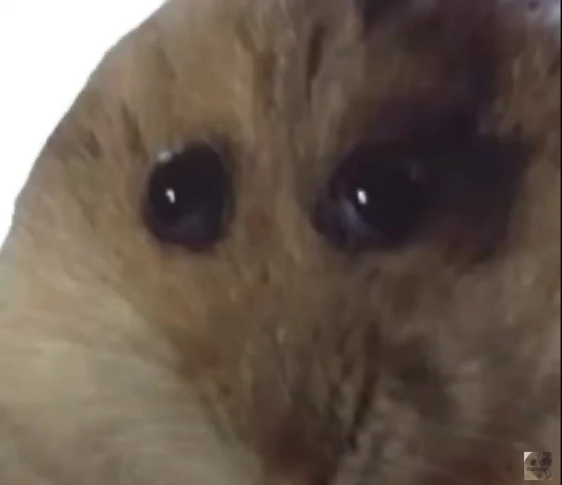 phase 50 idiot flashbacks | Fandom