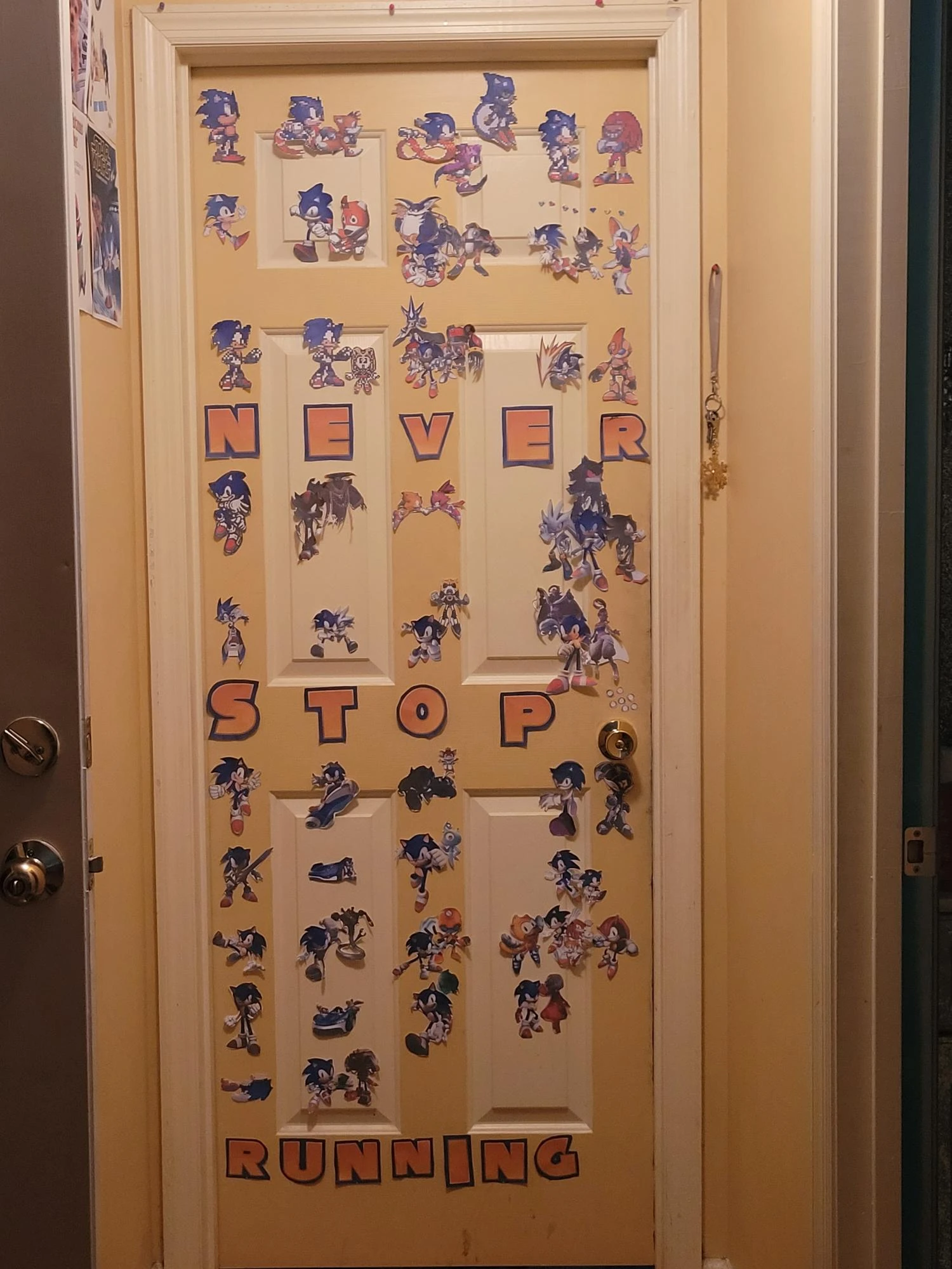 My door finished | Fandom