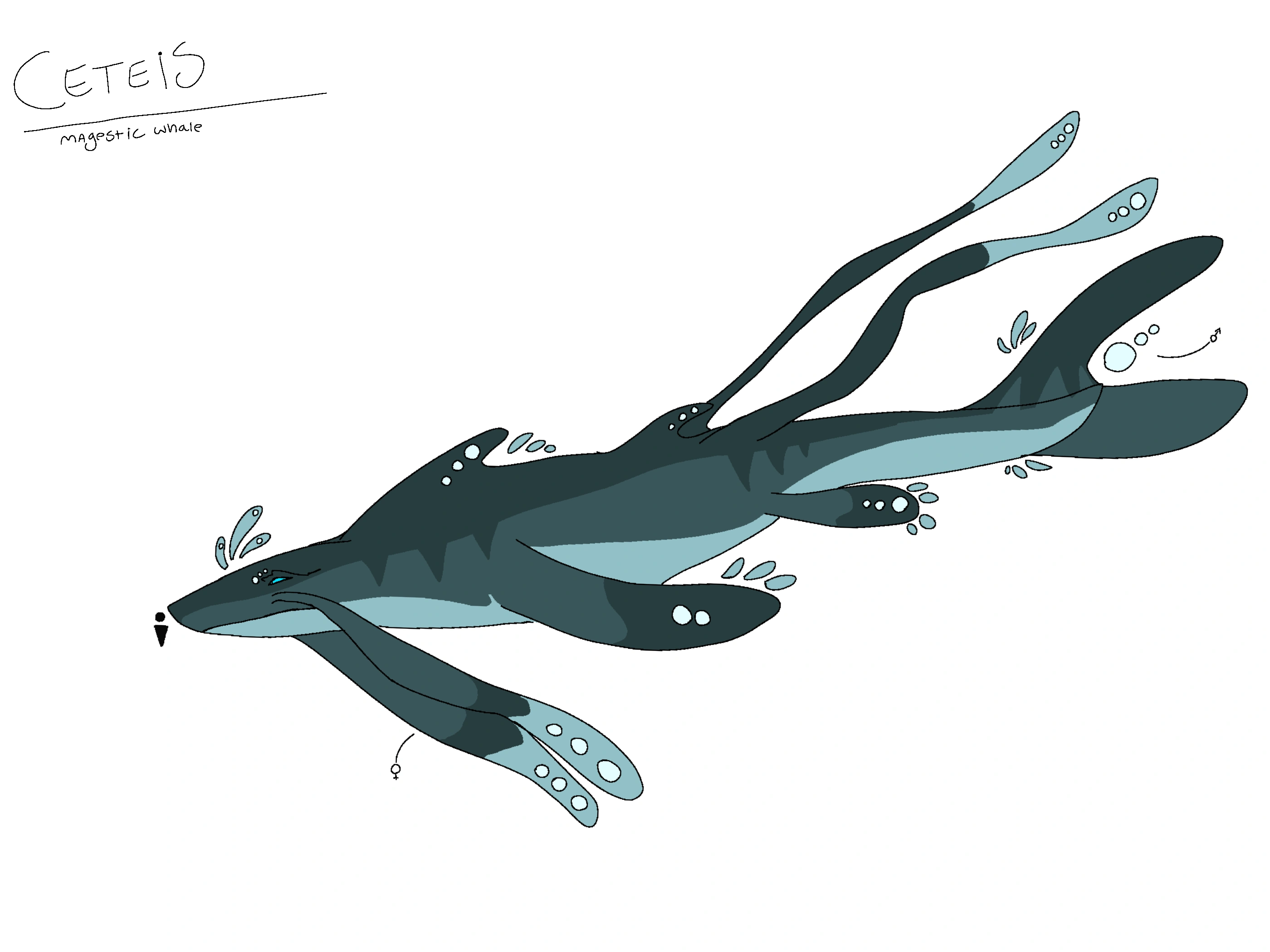 My first fan creature concept. | Fandom